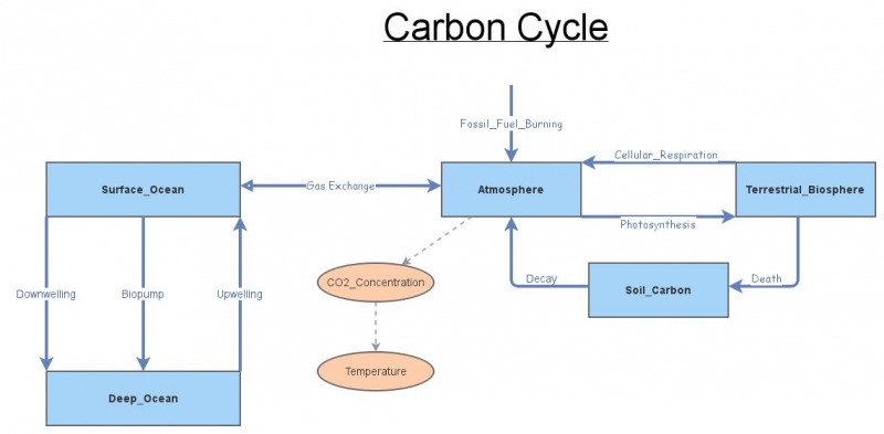 Modeling The Carbon Cycle | Insight Maker