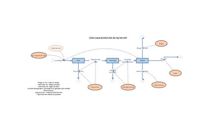 Possible Wolf PVA | Insight Maker