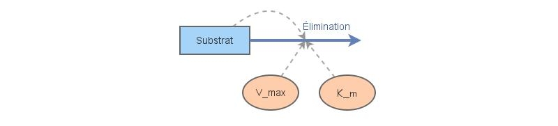 Modele de Michaelis-Menten | Insight Maker