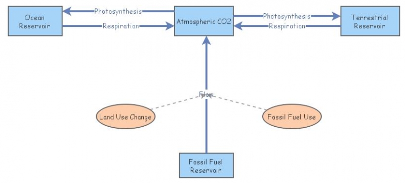 QLC 240 Carbon Cycle HW | Insight Maker