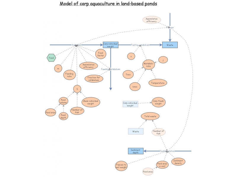 CARP - Carp AquacultuRe in Ponds | Insight Maker