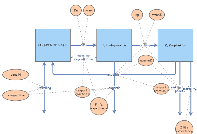 Clone of Marine NPZ model template | Insight Maker