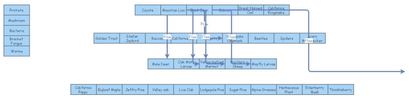 Sierra Nevada Ecosystem | Insight Maker