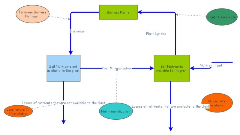 Homework 2 Grassland Nitrogen Cycle Model | Insight Maker