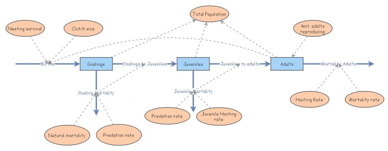 Master PVA Group Project - Snow Goose | Insight Maker
