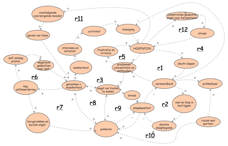 Complexiteit bij pijn | Insight Maker