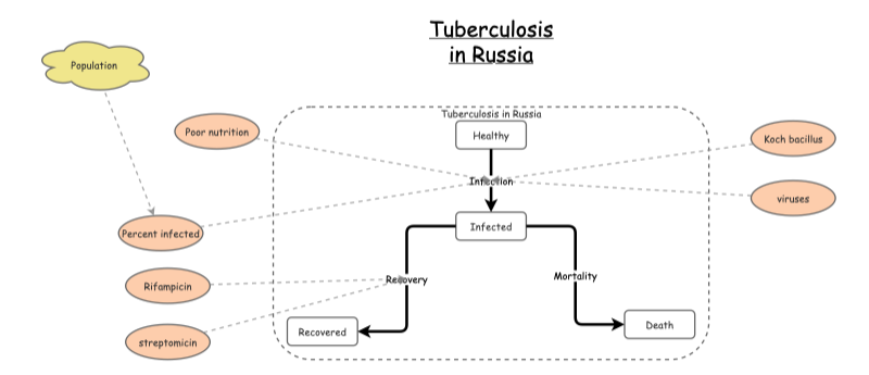 Tuberculosis in Russia | Insight Maker