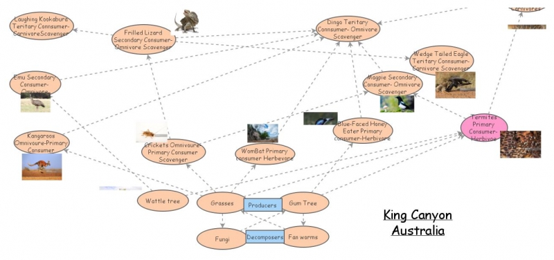 Clone of Arizona Food Web | Insight Maker