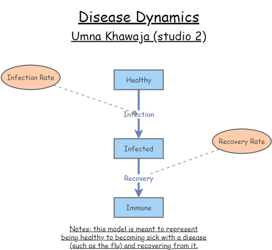 Disease Dynamics | Insight Maker