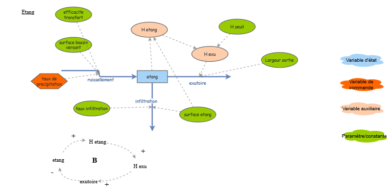 Exemple exa 4 - Etang à batraciens | Insight Maker