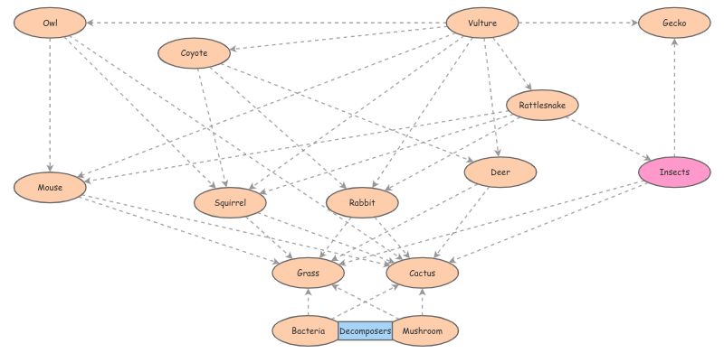 Clone of Arizona Food Web | Insight Maker