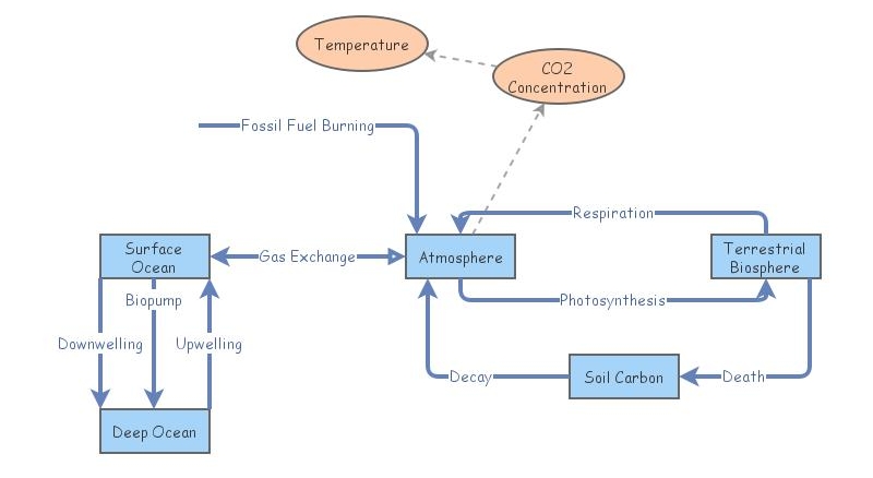 Carbon Cycle Model | Insight Maker