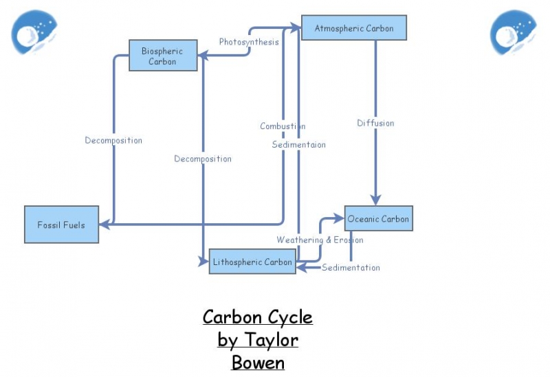 Carbon Cycle Stock and Flow Chart | Insight Maker