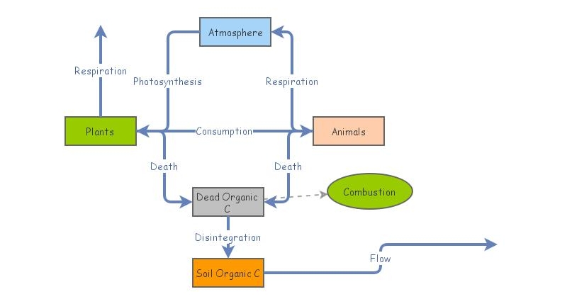 Conceptual Model | Insight Maker