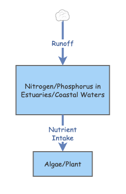 Module 7: Eutrophication | Insight Maker