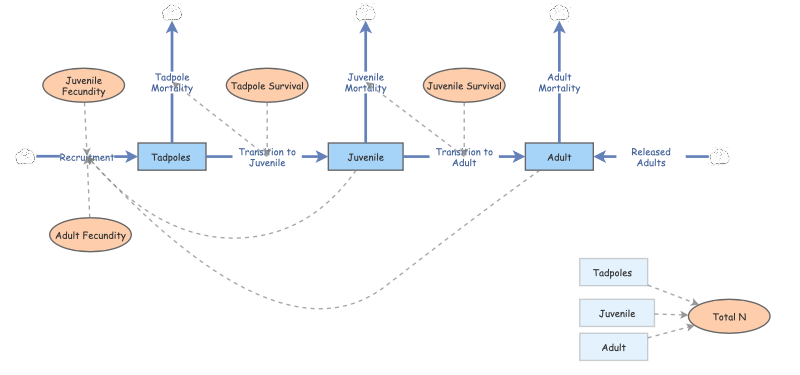 Clone of Lab 6: Stage Structure | Insight Maker
