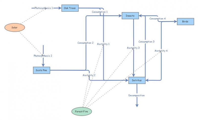 Sherwood Forest Ecosystem Model | Insight Maker