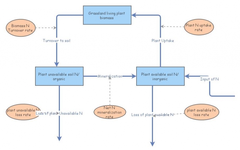 Menge et al., 2009 terrestrial nitrogen cycle model for grassland | Insight Maker