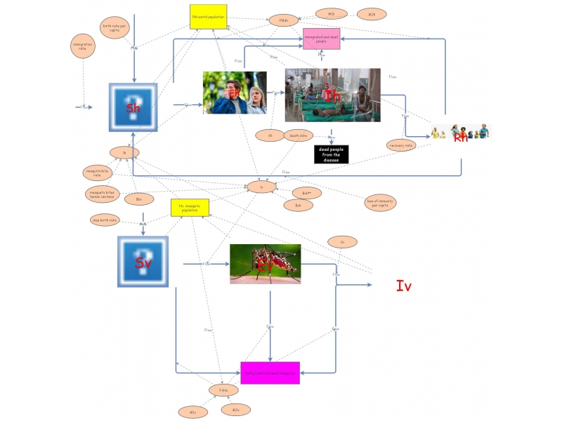 malaria model high transmission steady state | Insight Maker