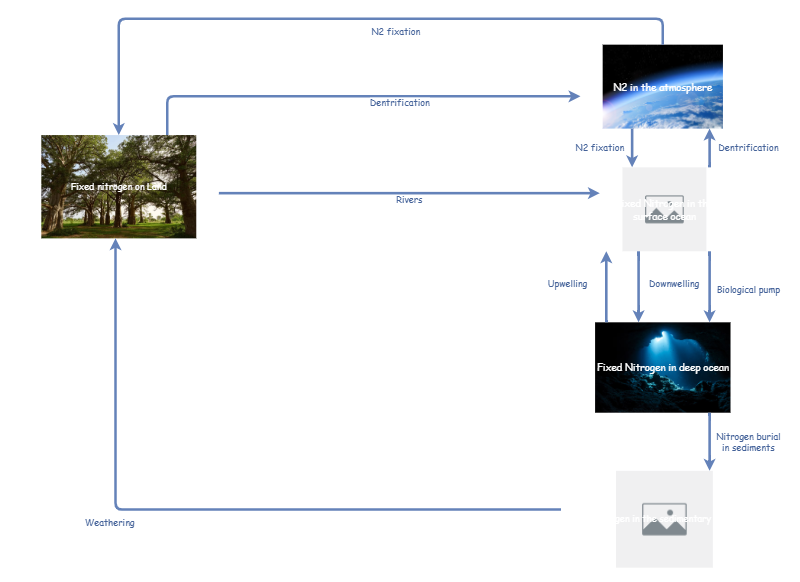 Nitrogen Cycle | Insight Maker