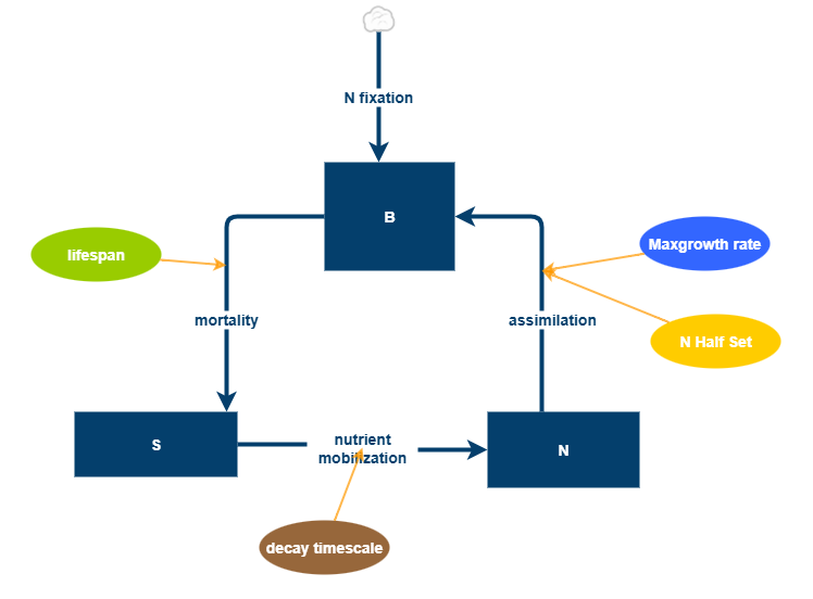 Clone of Terrestrial N cycle model template | Insight Maker