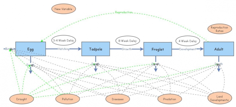 Frog Life Cycle | Insight Maker