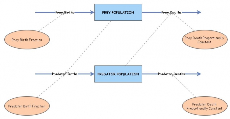 Predator Prey Model (Oscillation) | Insight Maker