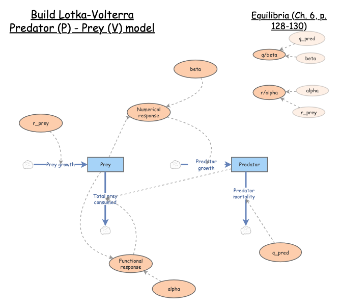 Build Pred-Prey model | Insight Maker