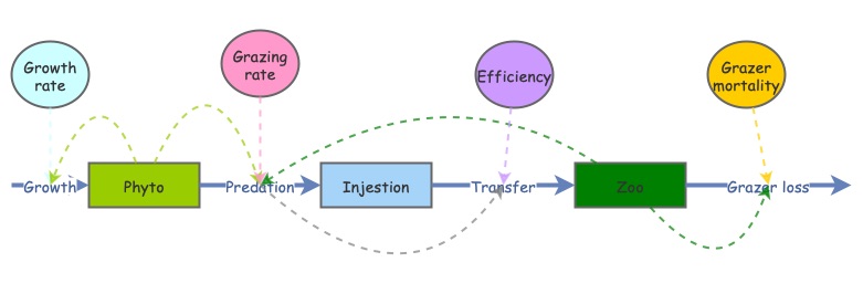 Zooplankton model | Insight Maker