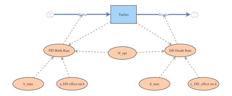 Pigeon Allee Effect | Insight Maker