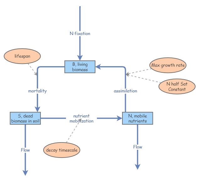 Clone of Terrestrial N cycle model template | Insight Maker