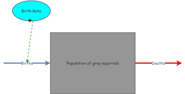 Squirrels | Insight Maker