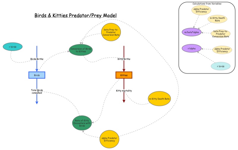 Birds and Kitties Predator-Prey Model | Insight Maker