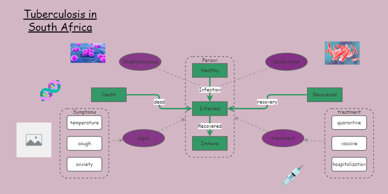 Tuberculosis in South Africa өзіндік жұмыс | Insight Maker