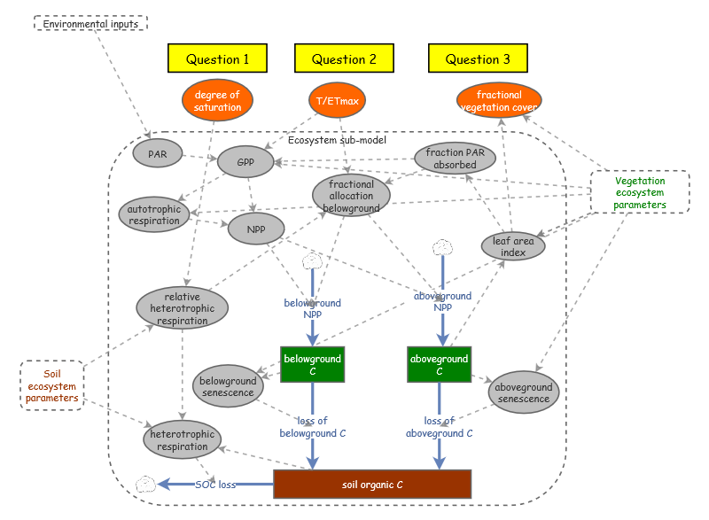 Simple Terrestrial Ecosystem Model Stem Insight Maker
