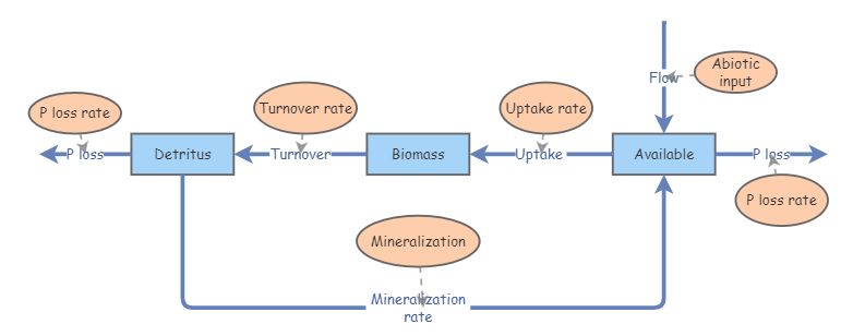 Menge et al., 2009 terrestrial nitrogen cycle model | Insight Maker