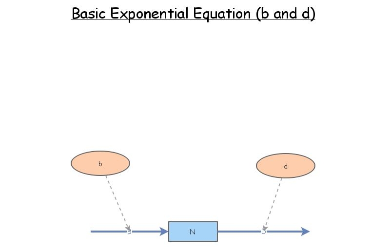 Basic Exponential Growth, b and d | Insight Maker