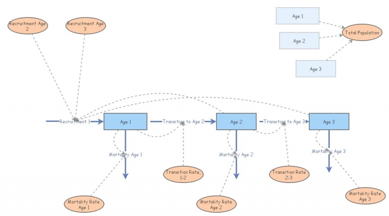 Lab 3: Age-structured population | Insight Maker