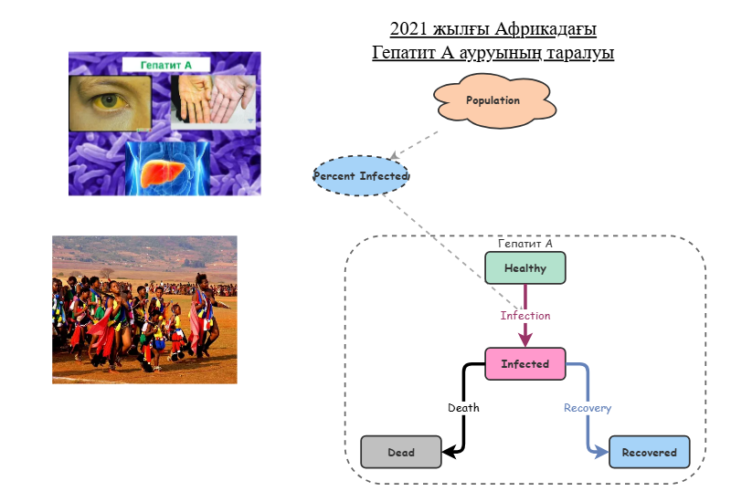 Өзіндік жұмыс 2 агенттік модель | Insight Maker