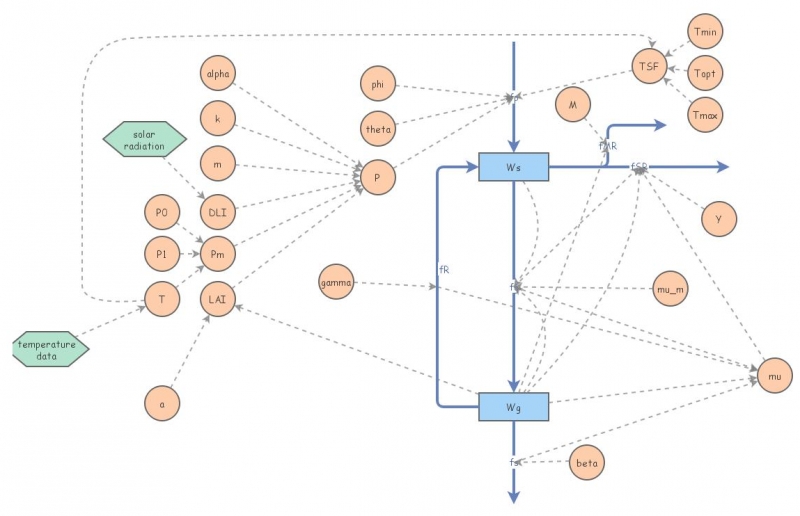 GRASIM model | Insight Maker