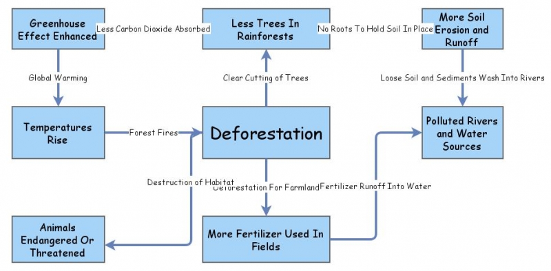 Deforestation Problem | Insight Maker