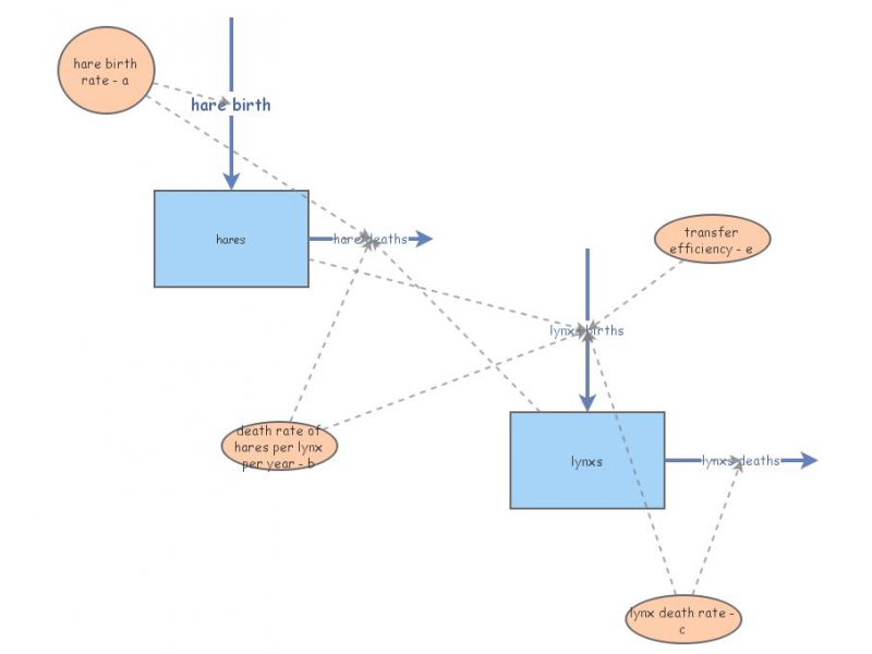 hare and lynx | Insight Maker
