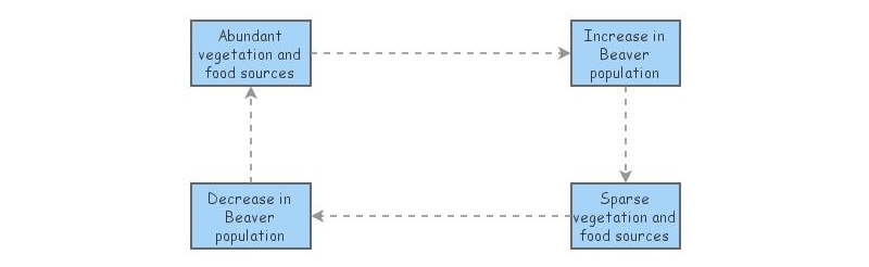 negative feedback loop | Insight Maker