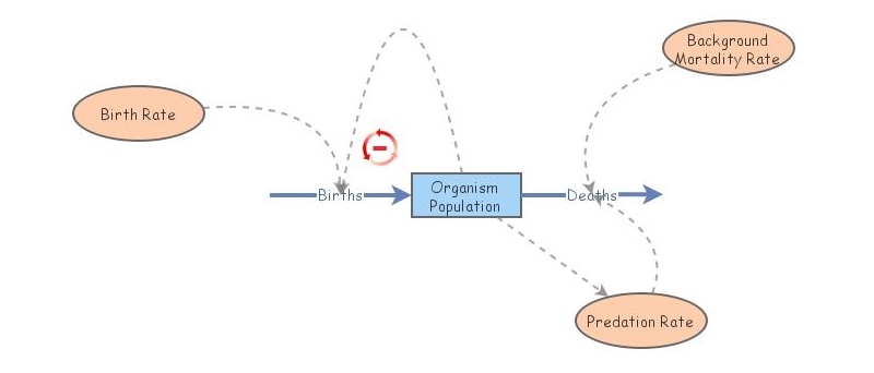 Exponential Population Growth Insight Maker