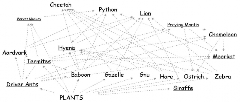 Food Fight Baboon's Food Web | Insight Maker