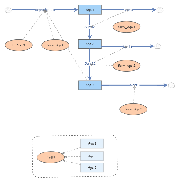 Lab 3 Age Structured Models | Insight Maker