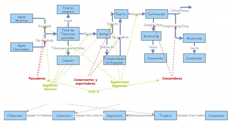 Shark Finning | Insight Maker