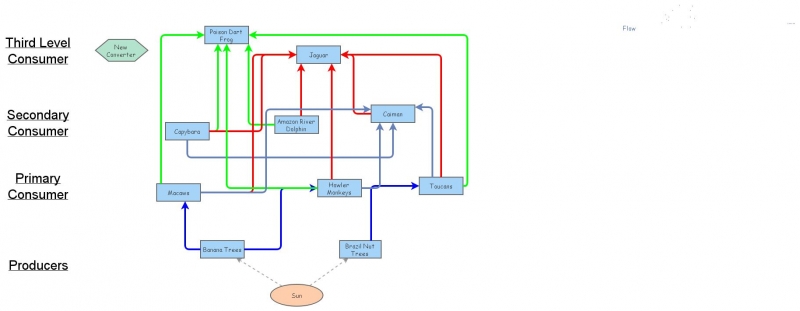 Amazon Tropical Rainforest - Food Web | Insight Maker