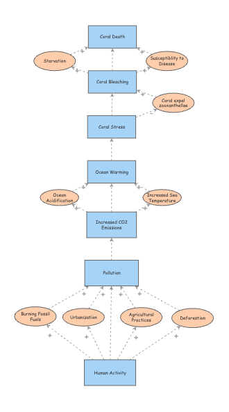 Flow Chart | Insight Maker