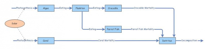 Belize Barrier Reef Model | Insight Maker
